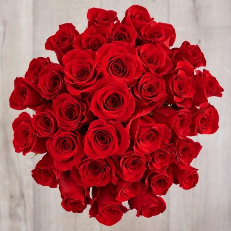 RED ROSE BUNCH – 50 – Izimbali Florist